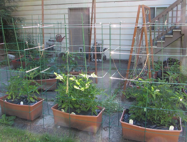 The Reduced Footprint 2024 Container Garden – FlatbreadGarden